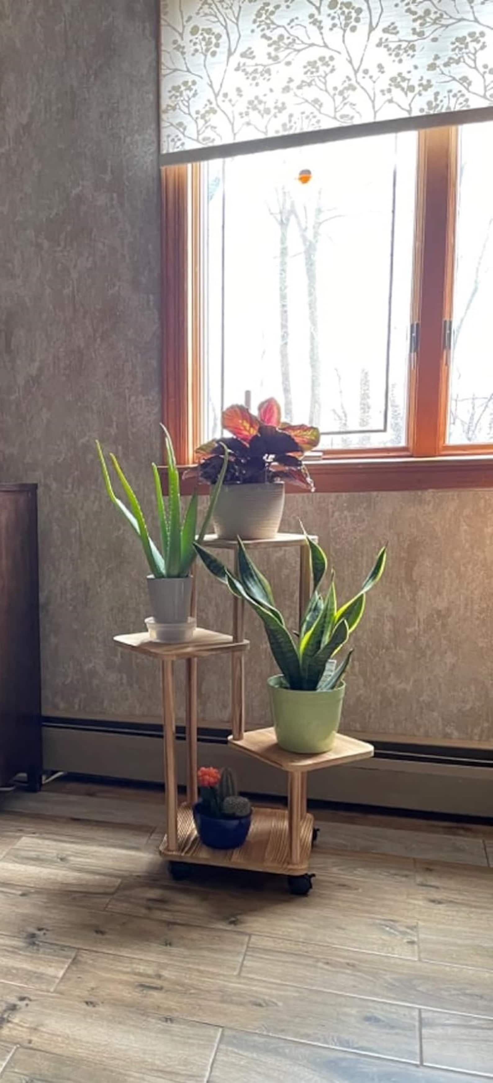 Pine Wood 3 Tier Plant Stand Holder for Corner With Wheels Living Room ...