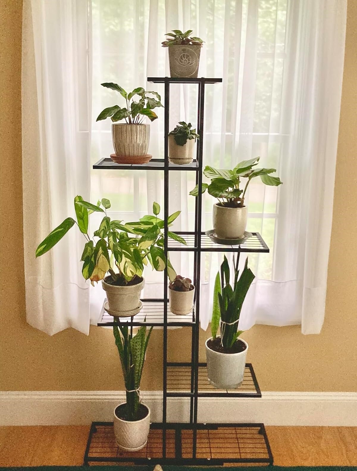 6-tier Metal Plant Stand Holds 12 Potted Plant Indoor Planter Display ...