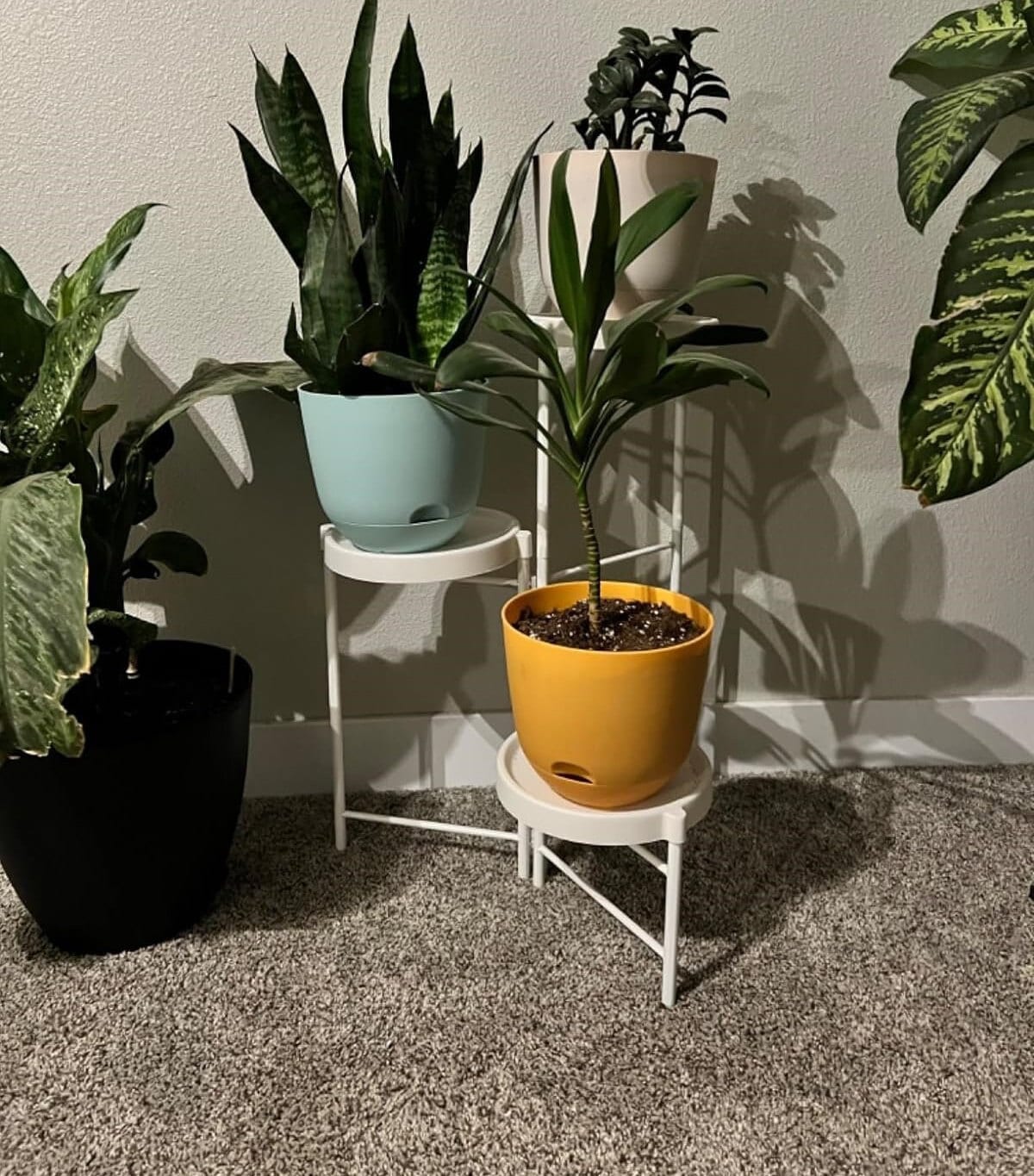 Tall Corner Flower Pot Holder Stands Shelves Multiple Plants Rack for ...