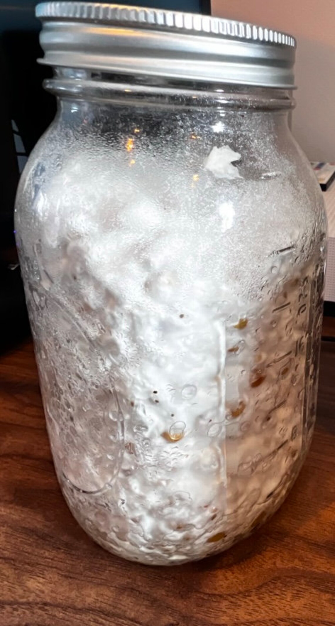 495ml Sterilised Popcorn Grain Jars Ready for Inoculation - Etsy