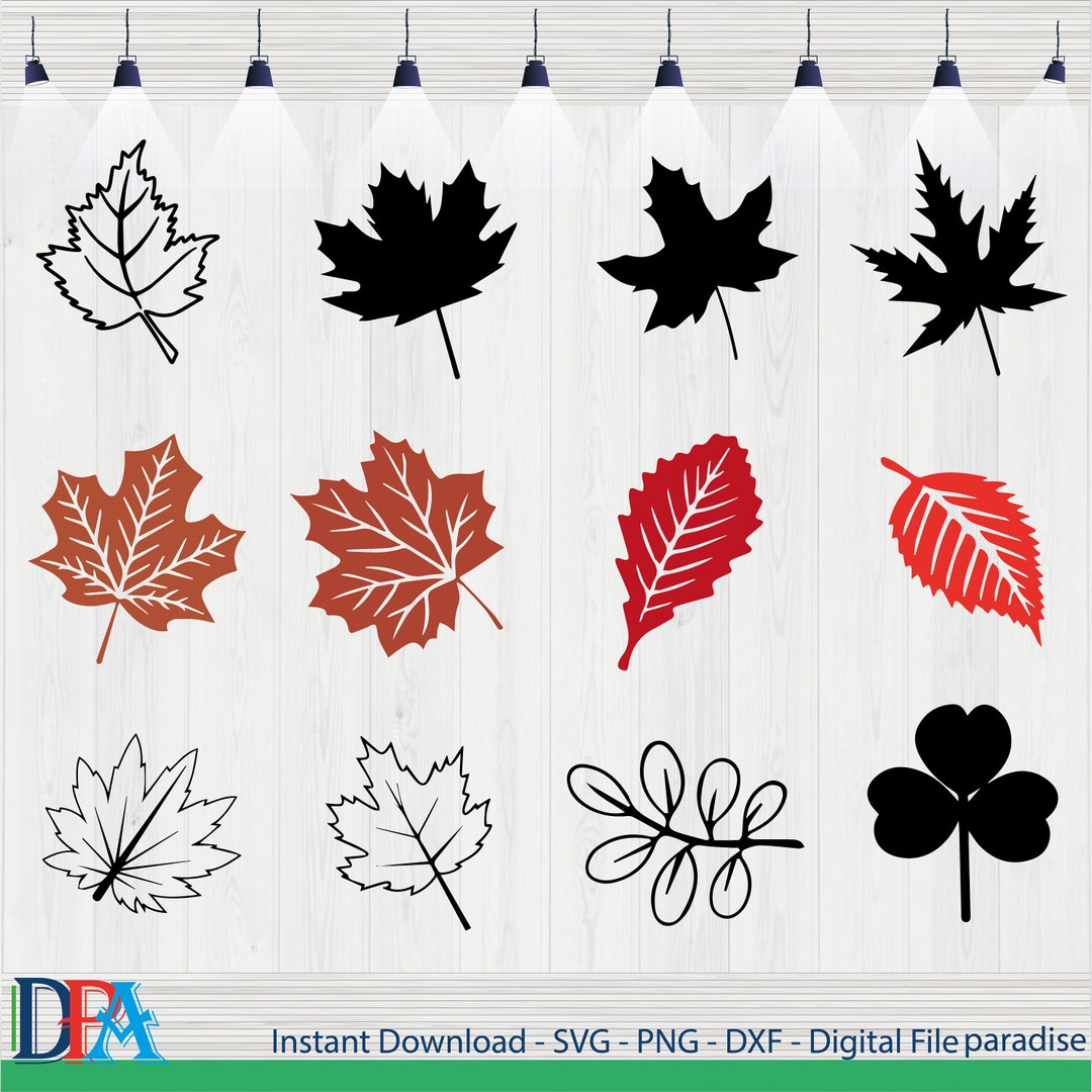 Fall Leaves Svg, Fall Svg, Fall Leaf Svg Bundle, Fall Png, Dxf, Clipart ...