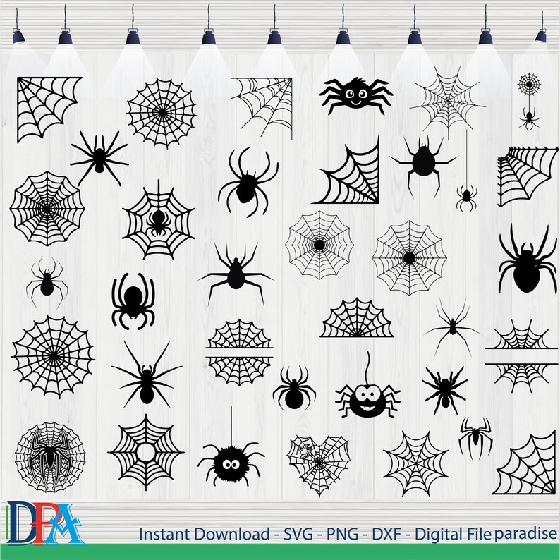 Spider SVG / Spider Web SVG / Insect SVG / Cobweb Svg / - Etsy