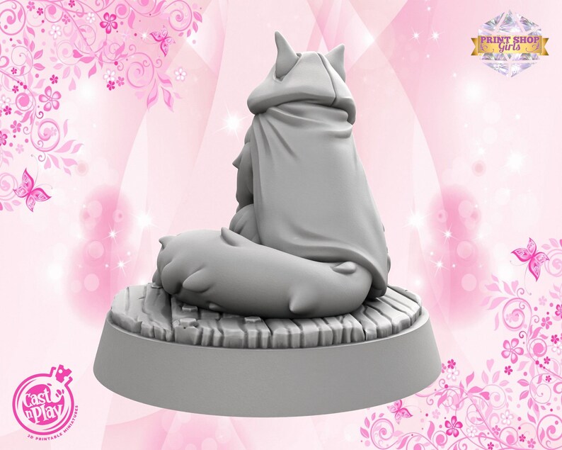 Cat Warlock Miniature Wizard Maincoon Cat Figure Cute Animal Figure 3D ...