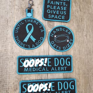 Basic Patch Set Black Canvas Teal Embroidery POTS Dysautonomia Patch ...