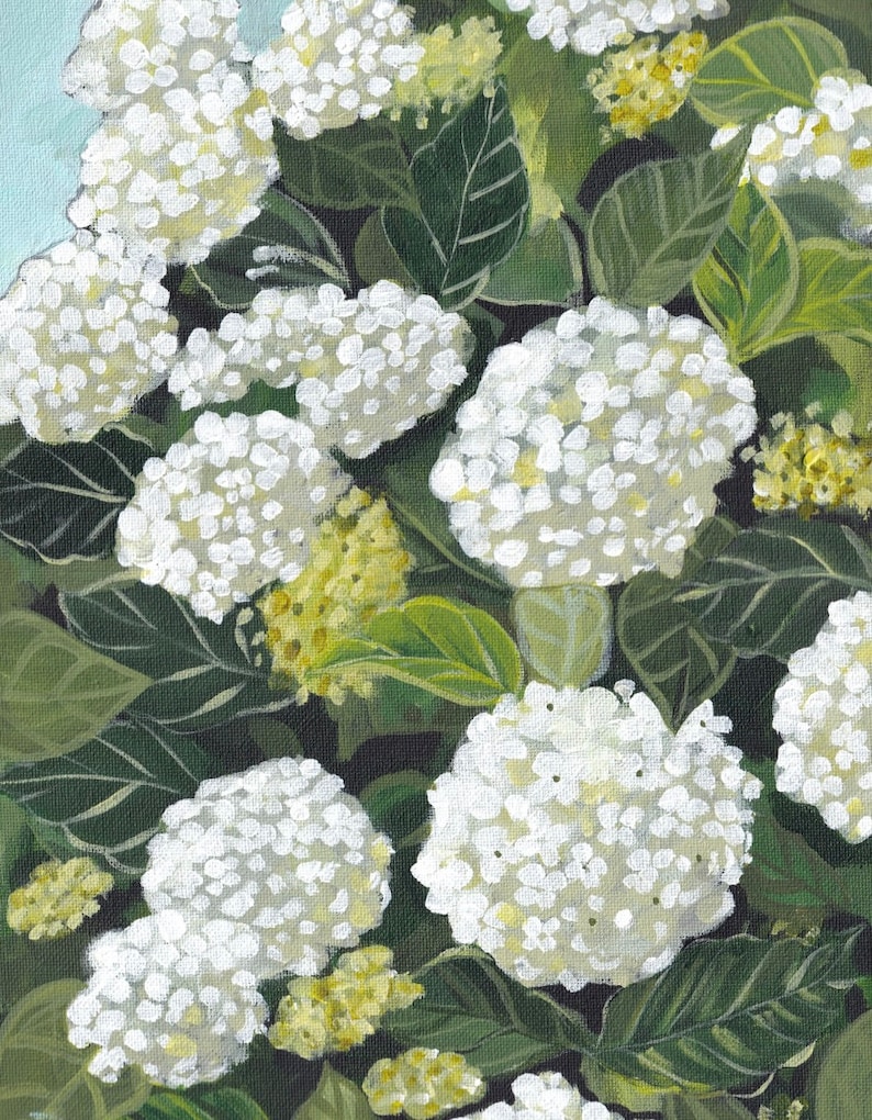 White Hydrangea Art Print - Etsy