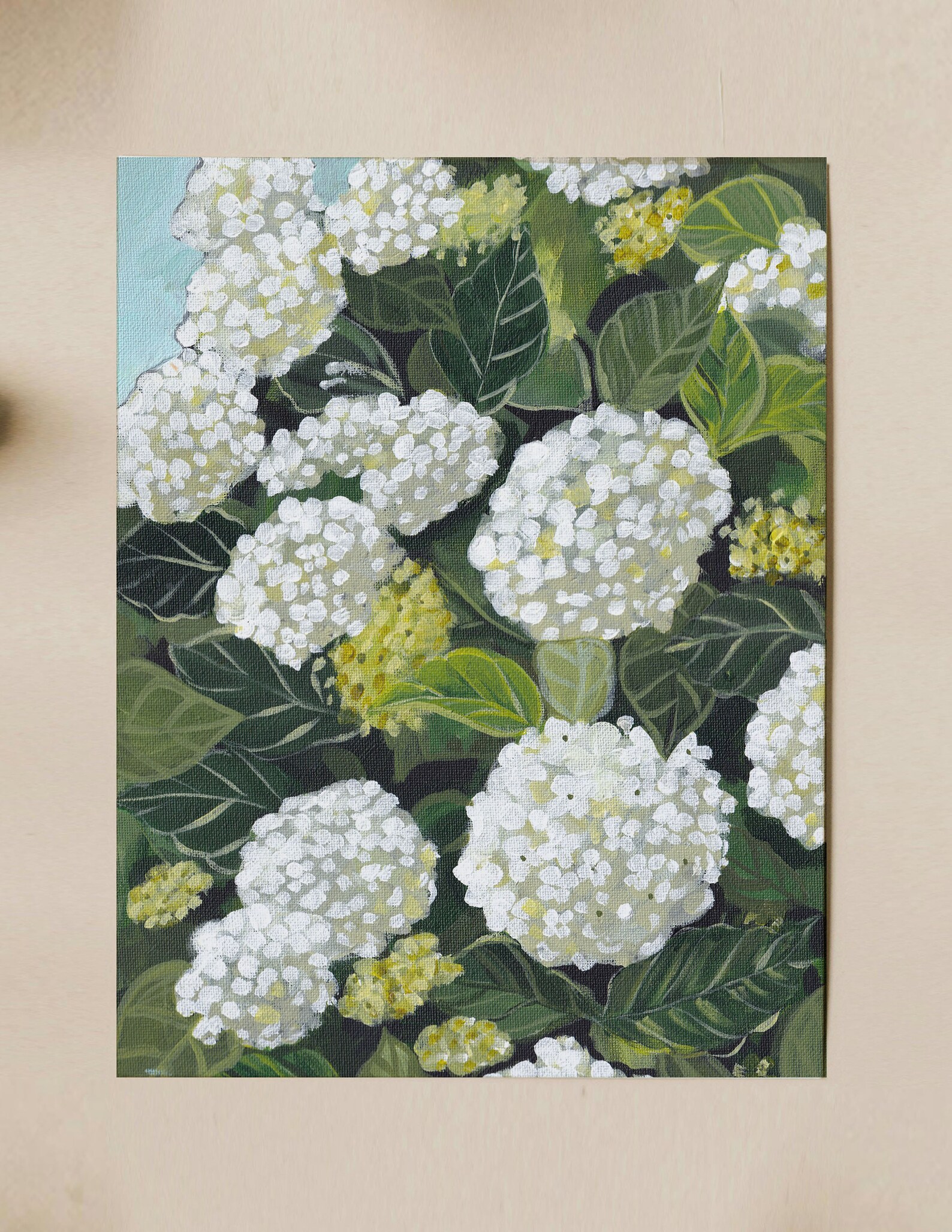 White Hydrangea Art Print - Etsy