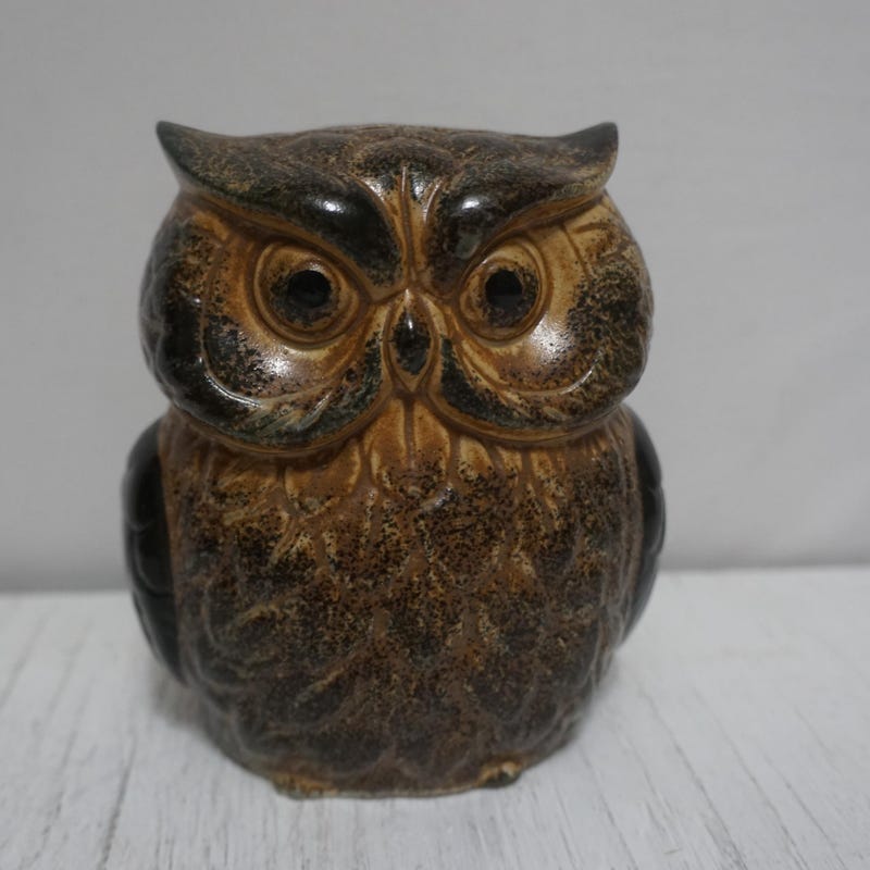 Owl Coin Bank - Etsy