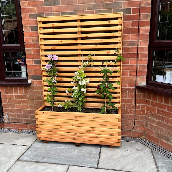 Privacy Planter - Etsy UK
