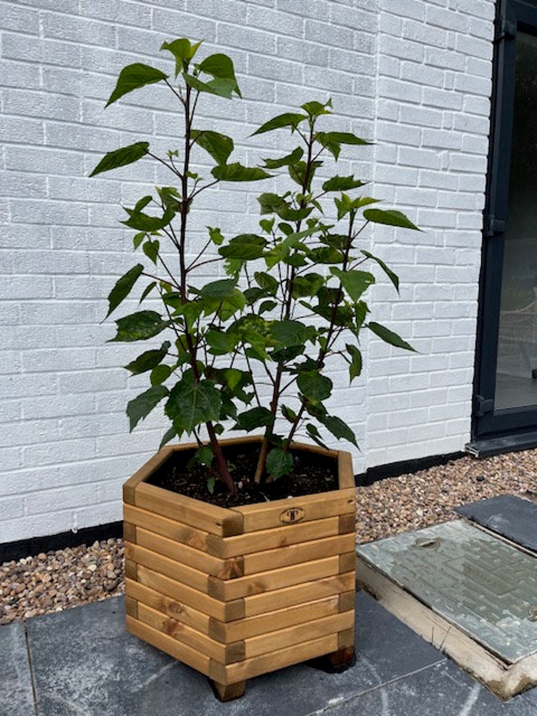 50cm Hexagonal Wooden Planters - Etsy
