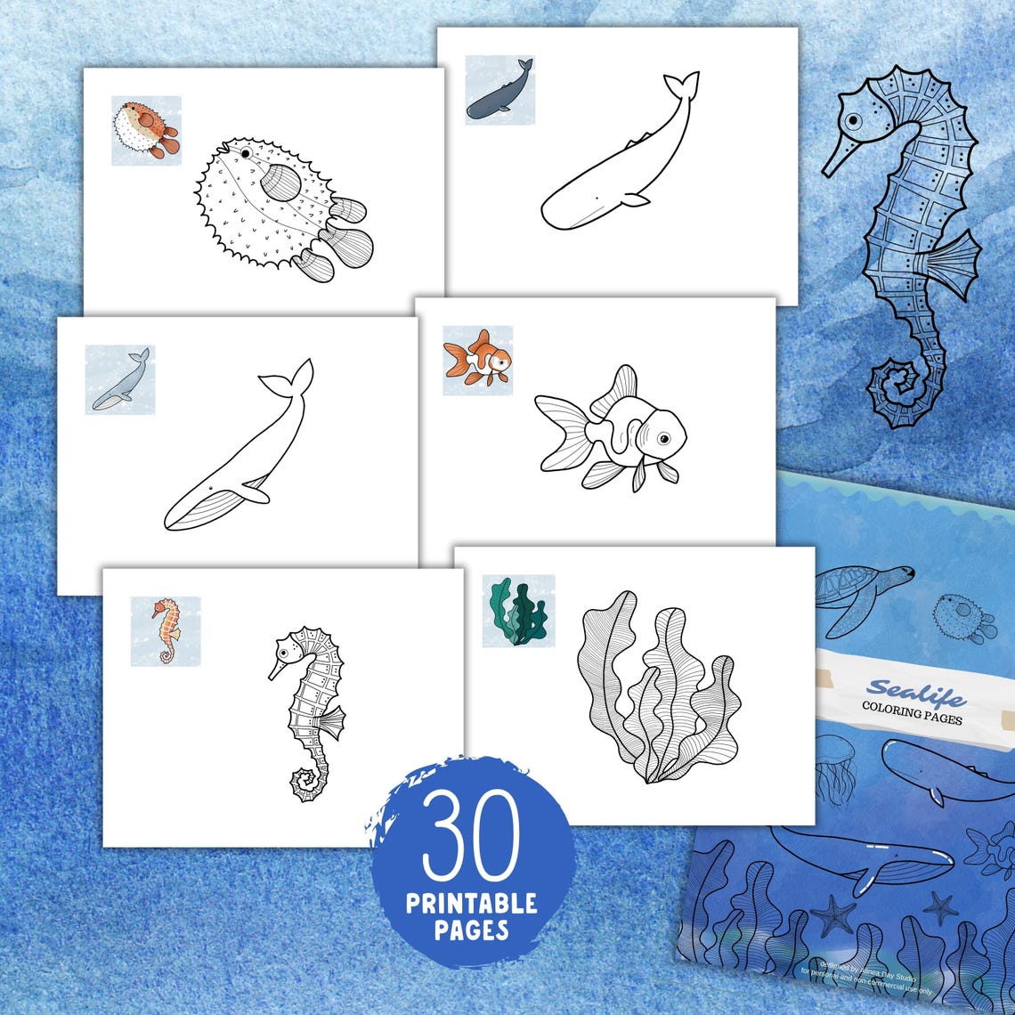 Sea Life Coloring Pages for Kids: Montessori Ocean Animals (PDF) - Etsy
