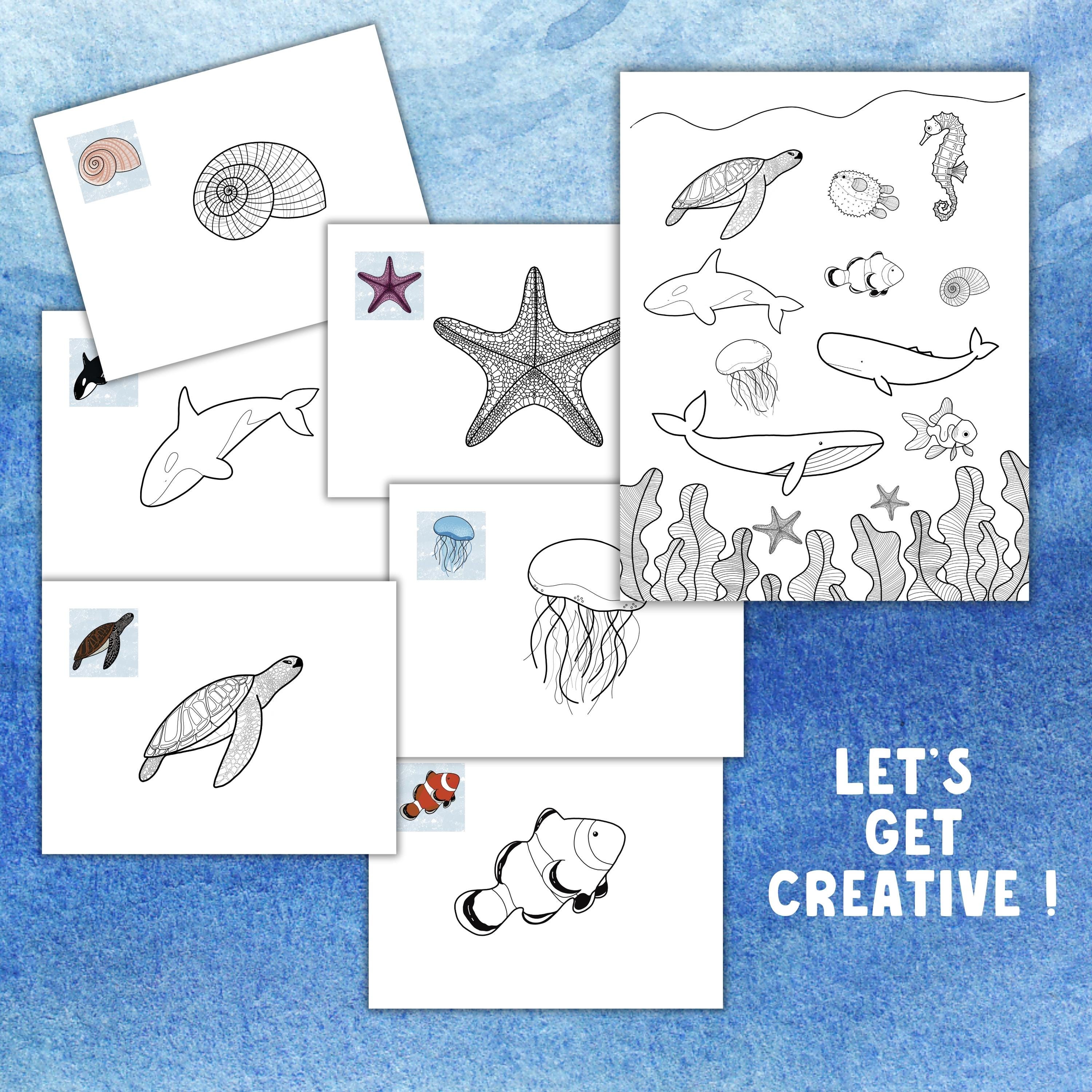 Sea Life Coloring Pages for Kids: Montessori Ocean Animals (PDF) - Etsy