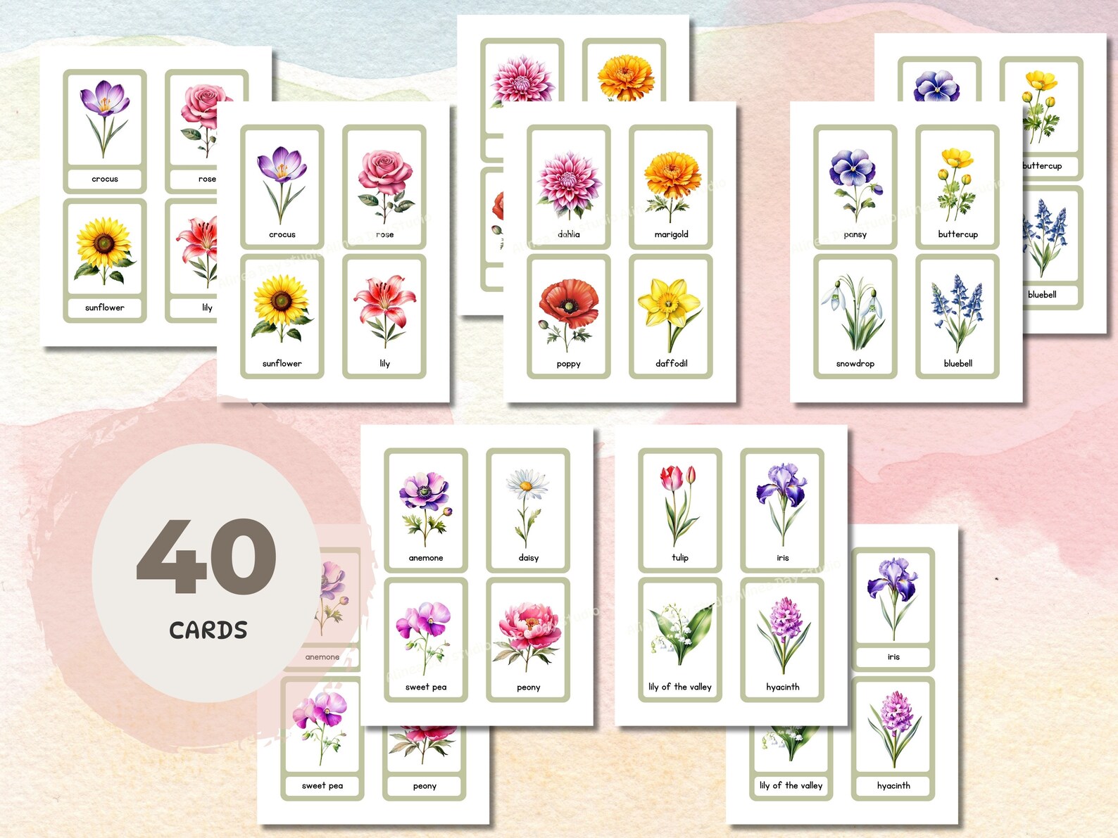 Flowers Flashcards 3 Part Montessori Nomenclature Cards, Flowers Cards ...