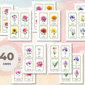 Montessori Flower Flashcards: 3-part Nomenclature Cards (PDF) - Etsy