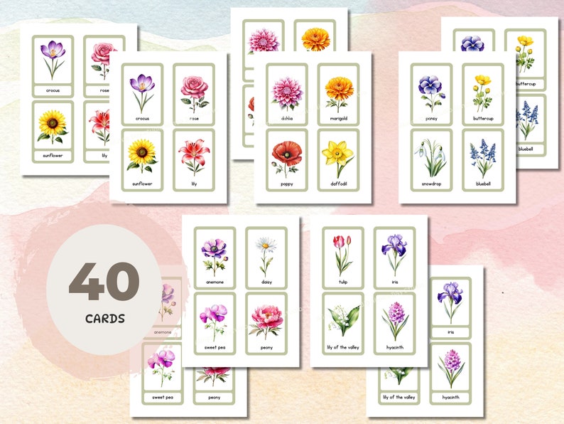 Flowers Flashcards 3 Part Montessori Nomenclature Cards, Flowers Cards ...