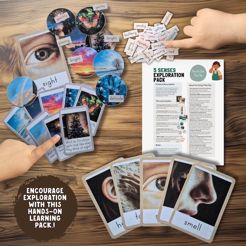 5 Senses Exploration Pack: Montessori Learning Activities (PDF) - Etsy