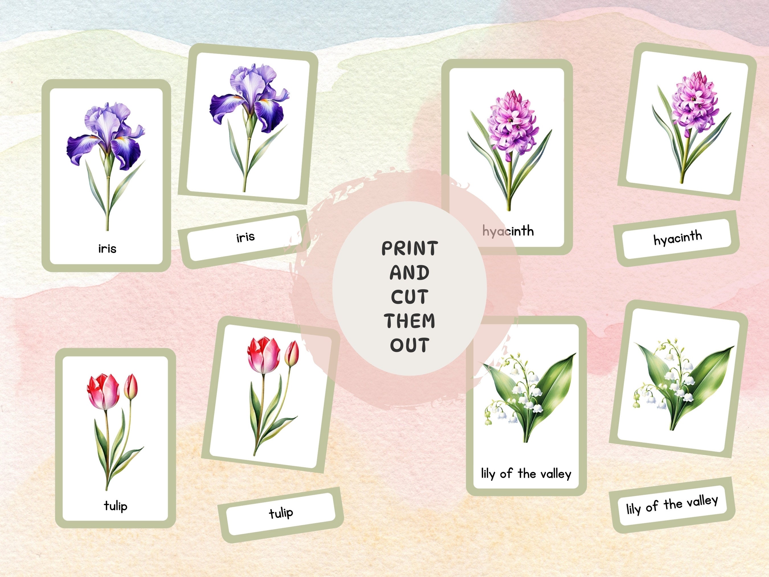 Flowers Flashcards 3 Part Montessori Nomenclature Cards, Flowers Cards ...