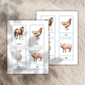 Farm Animal Flashcards | 3-part Montessori Nomenclature Cards ...
