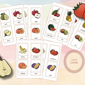 Fruit Montessori Flashcards, PRINTABLE Toddler Vocabulary 3 Part Cards ...