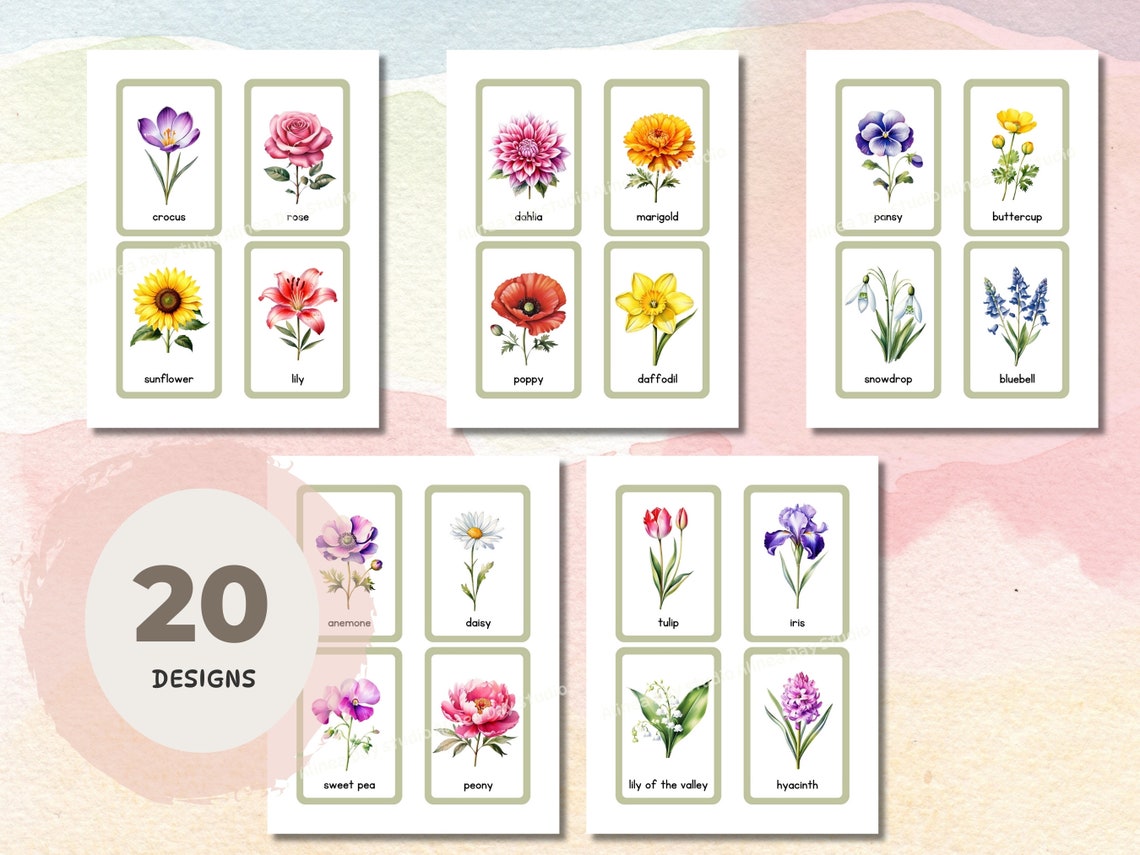 Montessori Flower Flashcards: 3-part Nomenclature Cards (PDF) - Etsy