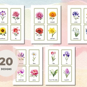 Flowers Flashcards 3 Part Montessori Nomenclature Cards, Flowers Cards ...