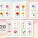 Flowers Flashcards 3 Part Montessori Nomenclature Cards, Flowers Cards ...