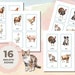 Farm Animal Flashcards 3 Part Montessori Nomenclature Cards, Farm ...