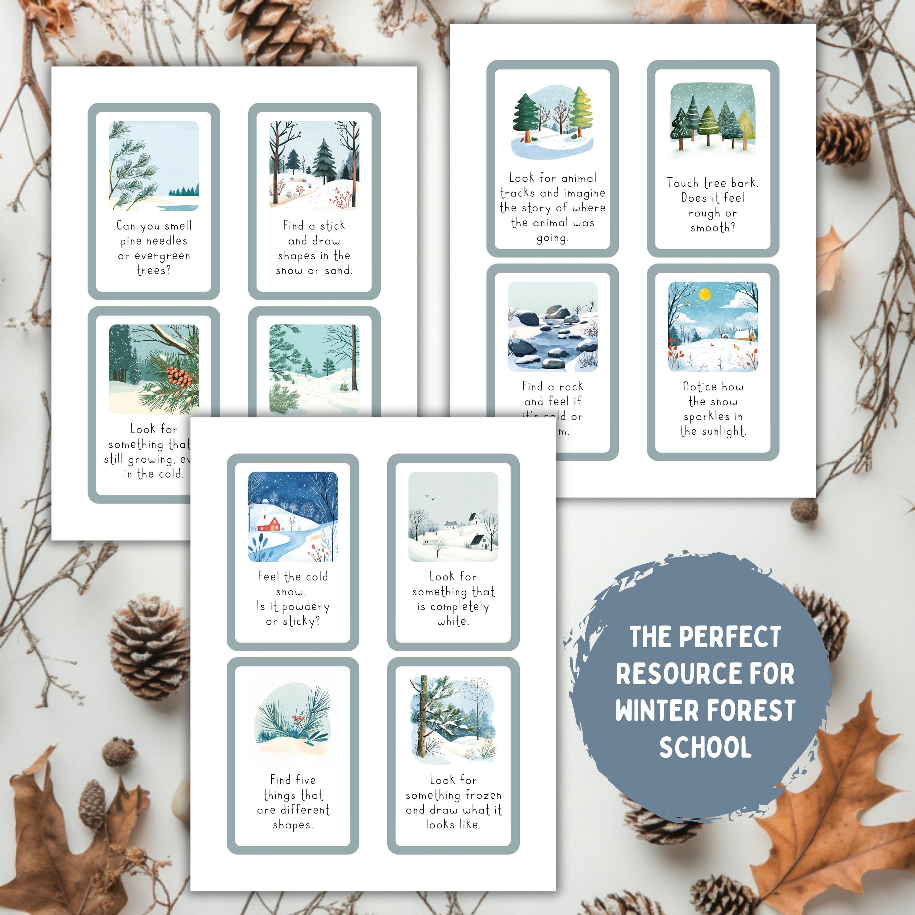 Winter Outdoor Exploration Cards for Kids | Forest School Ideas ...