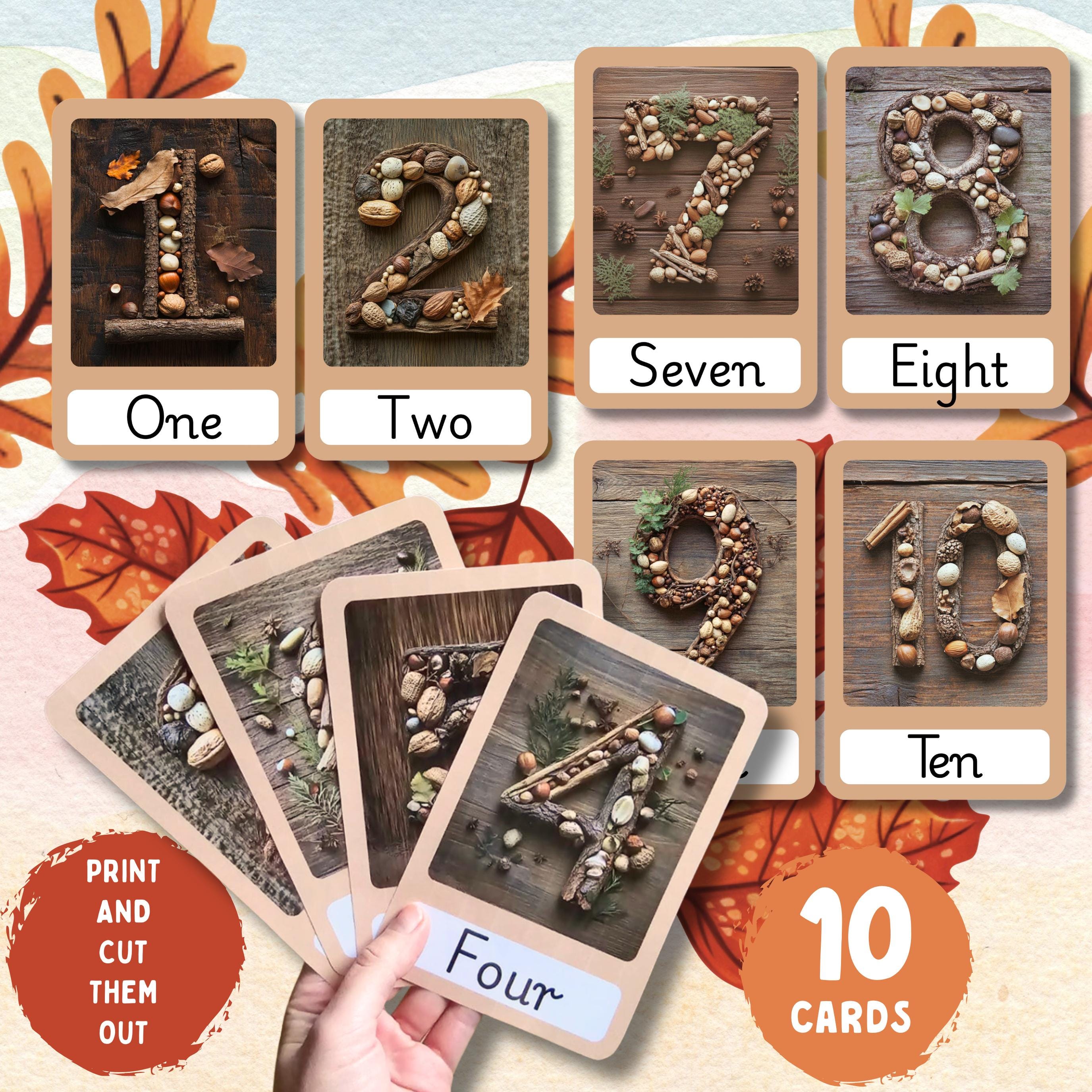 Nature Number Cards 1-10: Fall Classroom Decor (PDF) - Etsy