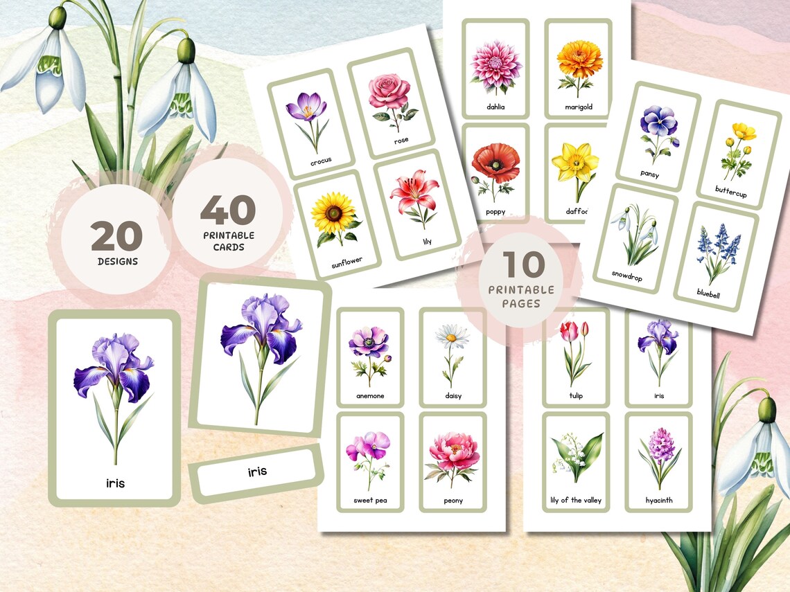 Montessori Flower Flashcards: 3-part Nomenclature Cards (PDF) - Etsy