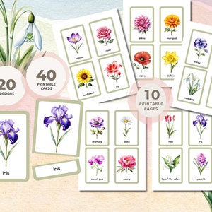 Montessori Flower Flashcards: 3-part Nomenclature Cards (PDF) - Etsy