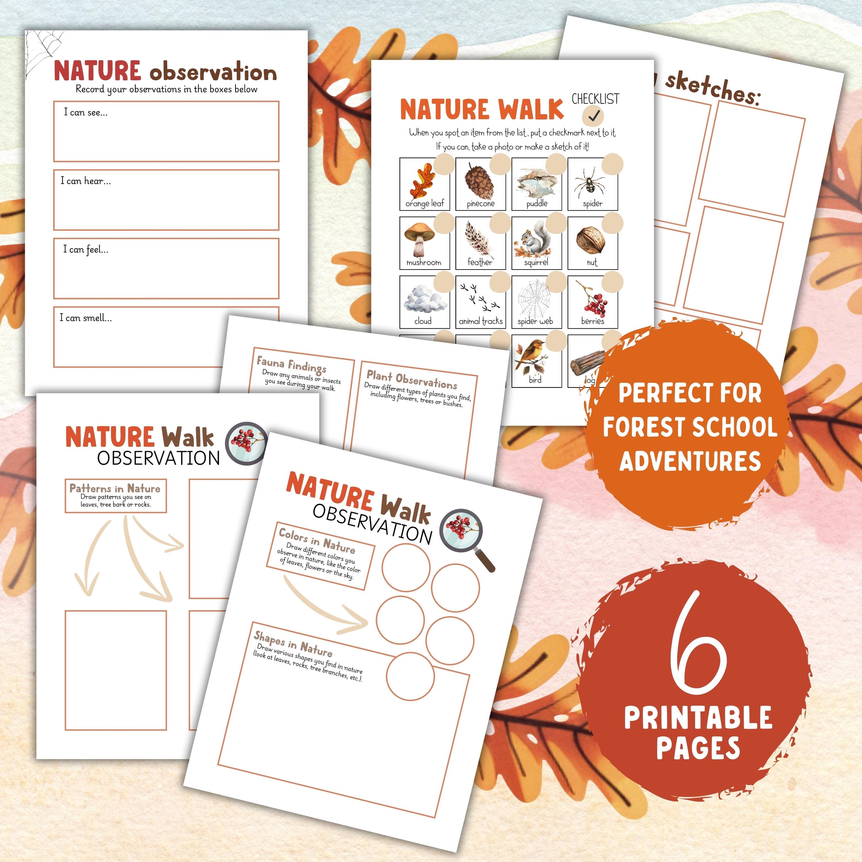 Fall Nature Walk Checklist: Autumn Scavenger Hunt (PDF) - Etsy