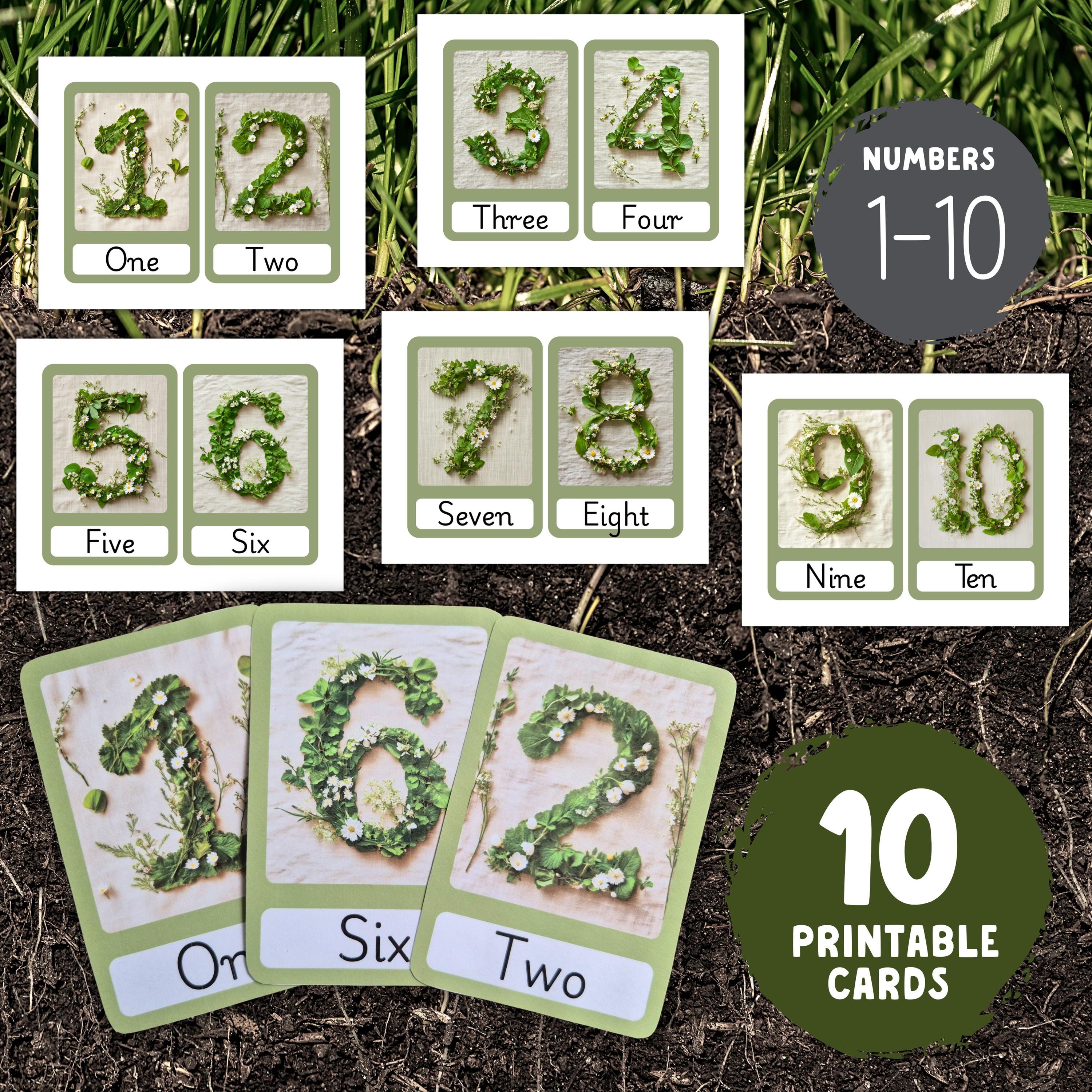 Floral Number Cards 1-10: Montessori Math Printable (PDF Download) - Etsy