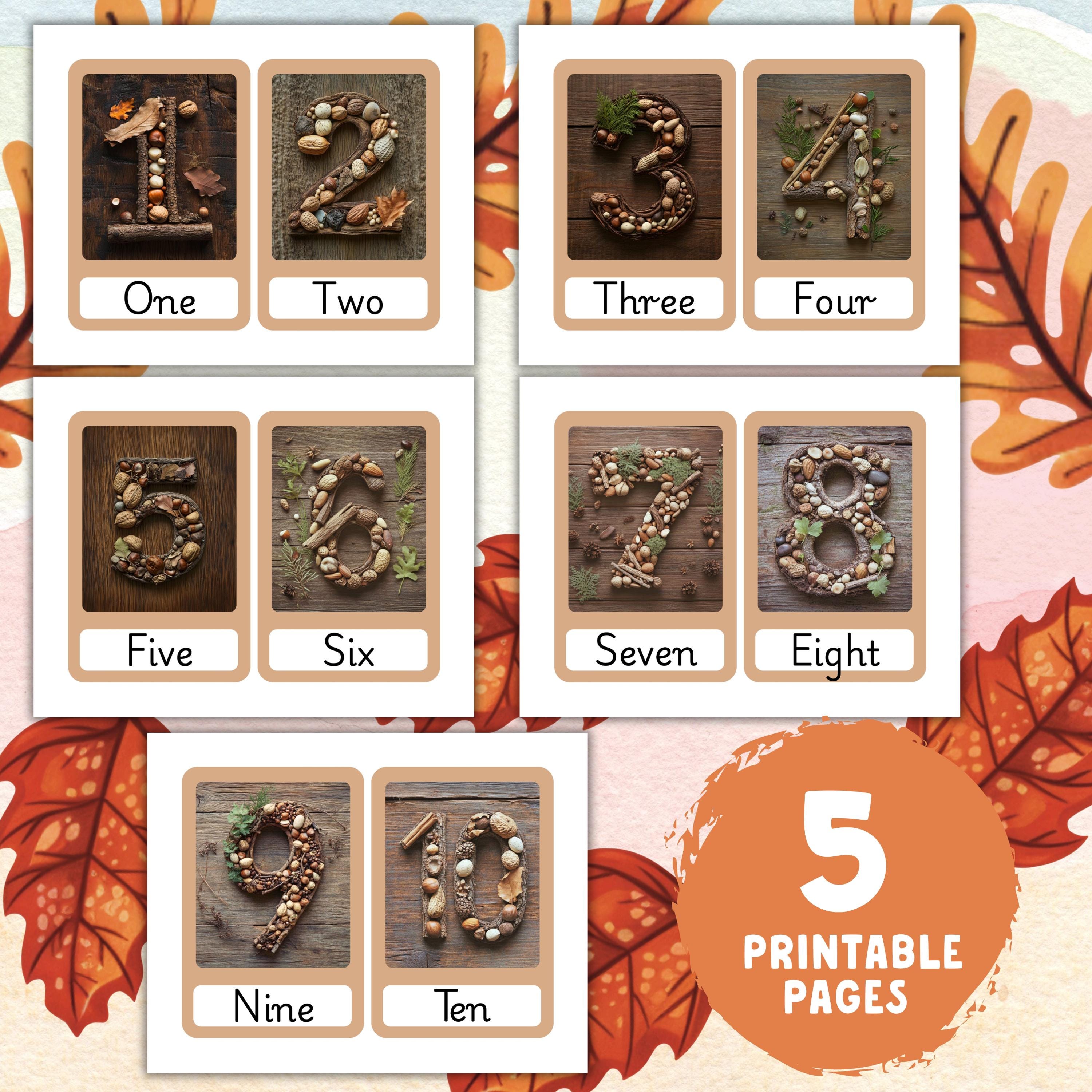 Nature Number Cards 1-10: Fall Classroom Decor (PDF) - Etsy