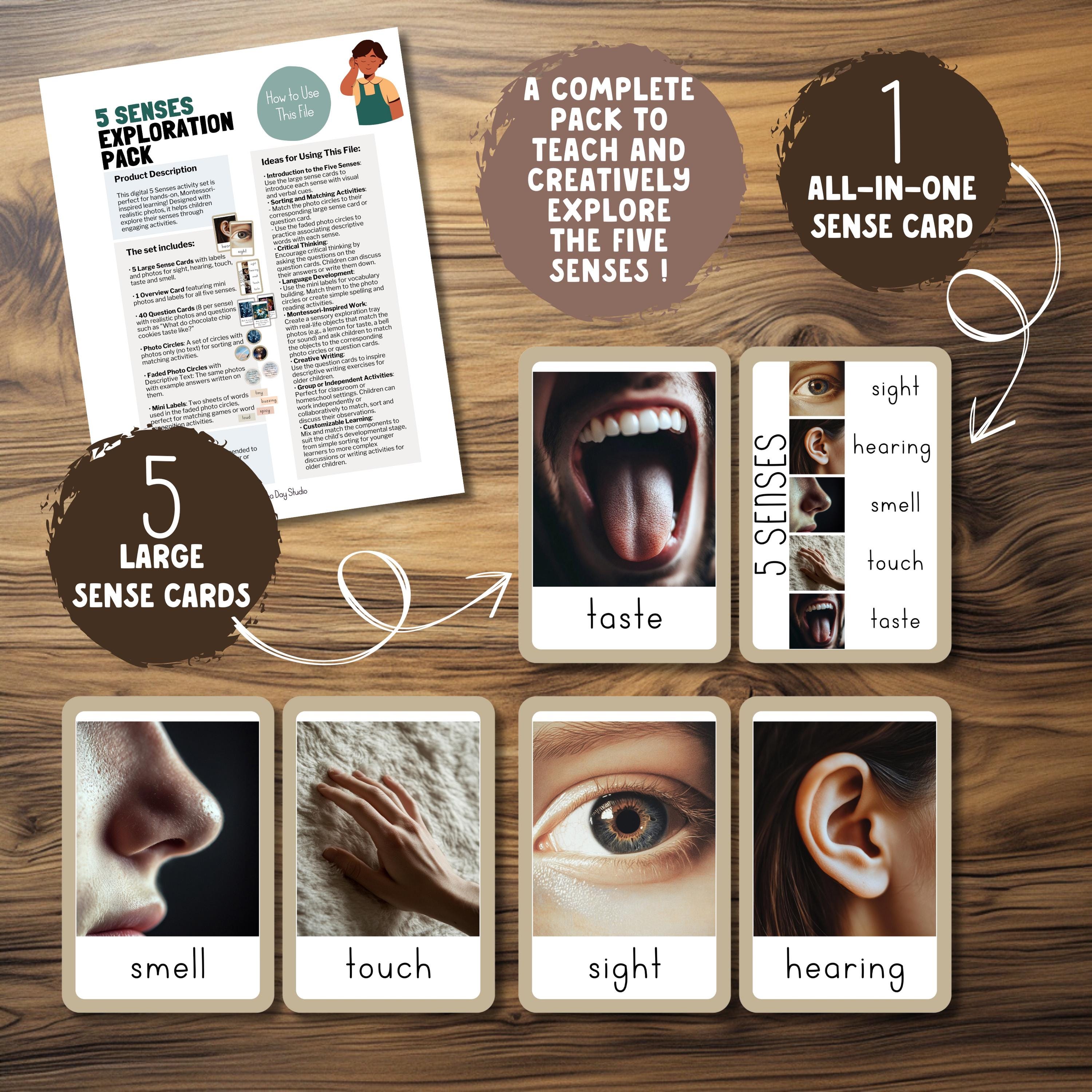 5 Senses Exploration Pack: Montessori Learning Activities (PDF) - Etsy