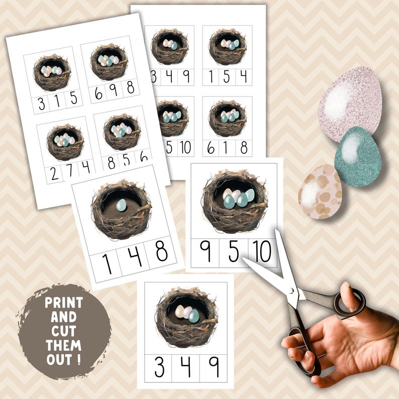 Tarjetas para contar y recortar nidos y huevos / Actividad imprimible ...