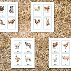 Farm Animal Flashcards 3 Part Montessori Nomenclature Cards, Farm ...