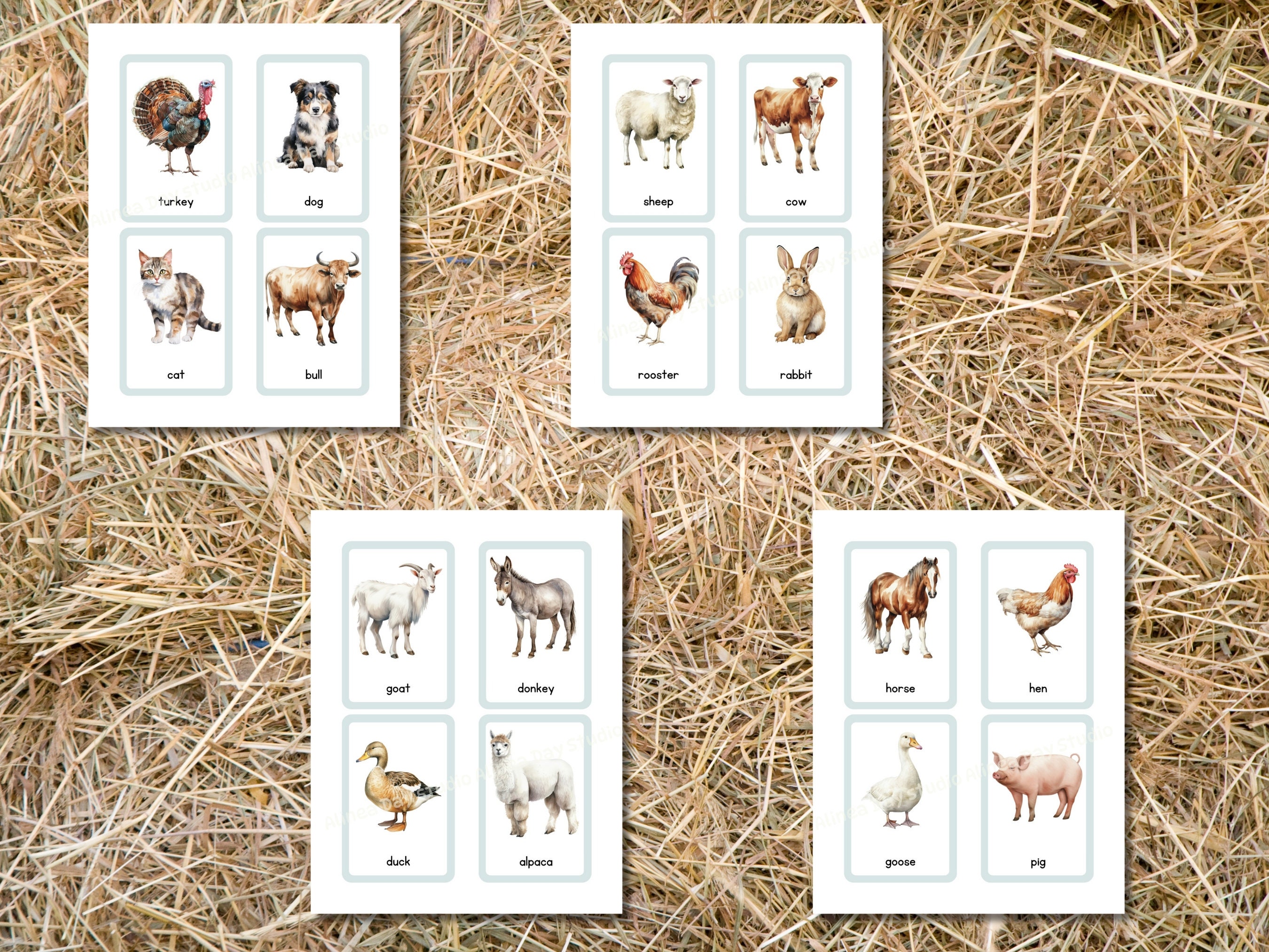 Farm Animal Flashcards 3 Part Montessori Nomenclature Cards, Farm ...