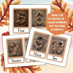 Nature Number Cards 1-10 | Fall Classroom Decor | Creative Nature ...