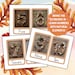 Nature Number Cards 1-10: Fall Classroom Decor (PDF) - Etsy