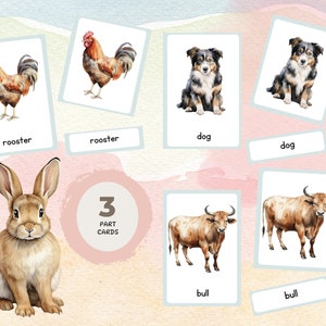 Farm Animal Flashcards 3 Part Montessori Nomenclature Cards, Farm ...