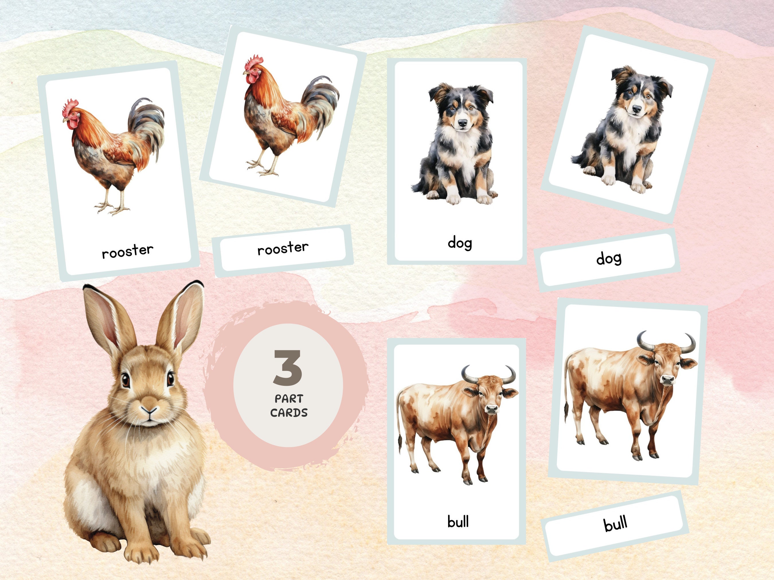 Farm Animal Flashcards 3 Part Montessori Nomenclature Cards, Farm ...