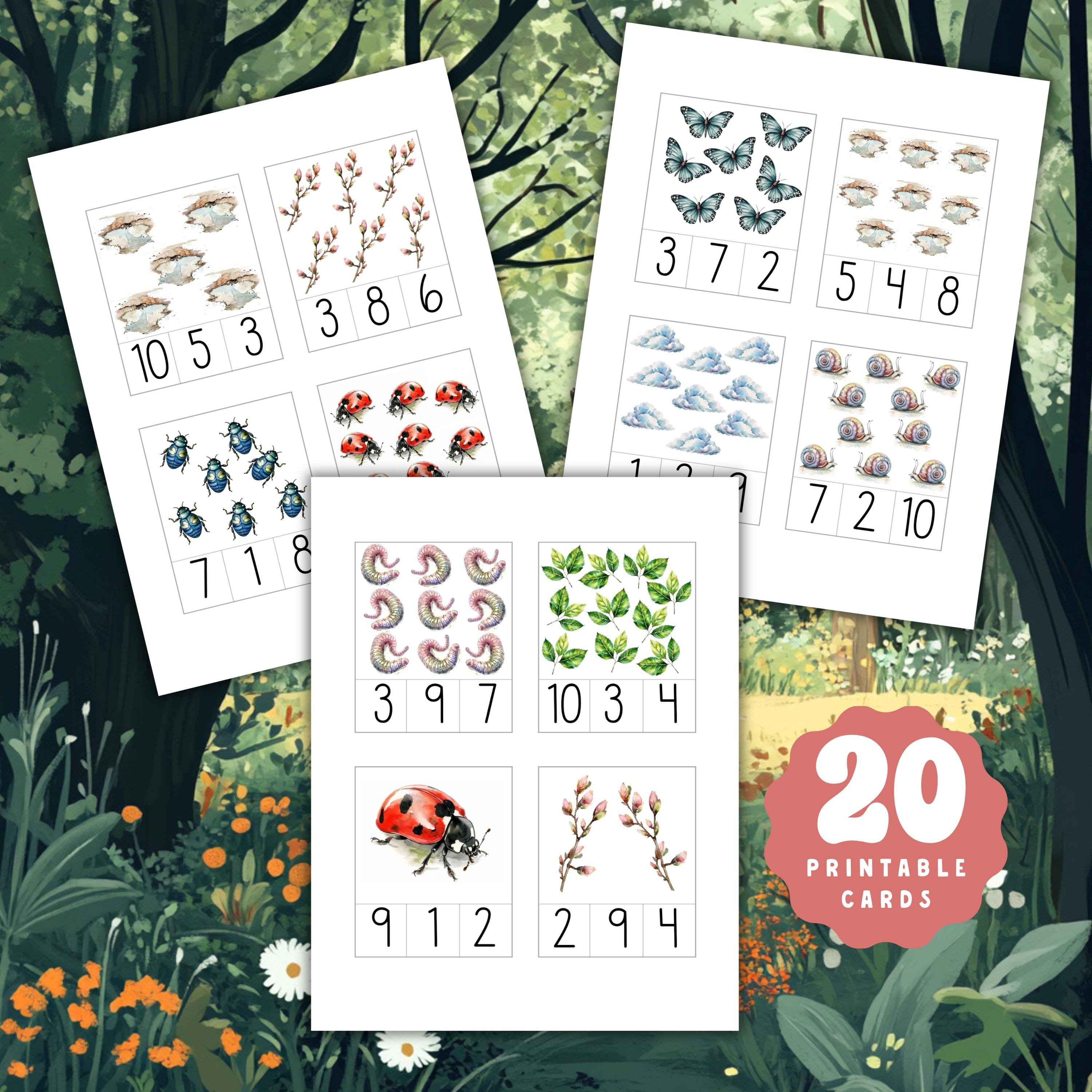 Spring Nature Walk Count & Clip Cards 1-10 Montessori Printable Numbers ...