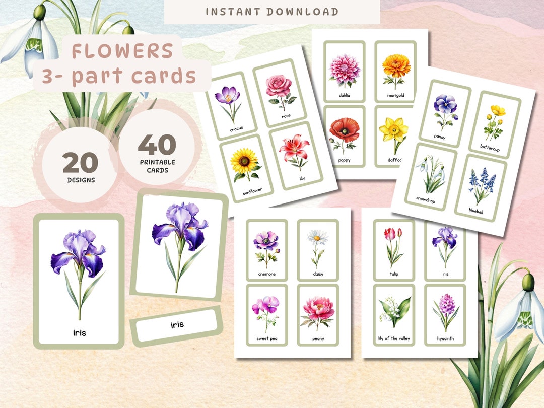 Flowers Flashcards 3 Part Montessori Nomenclature Cards, Flowers Cards ...