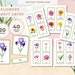 Flowers Flashcards 3 Part Montessori Nomenclature Cards, Flowers Cards ...