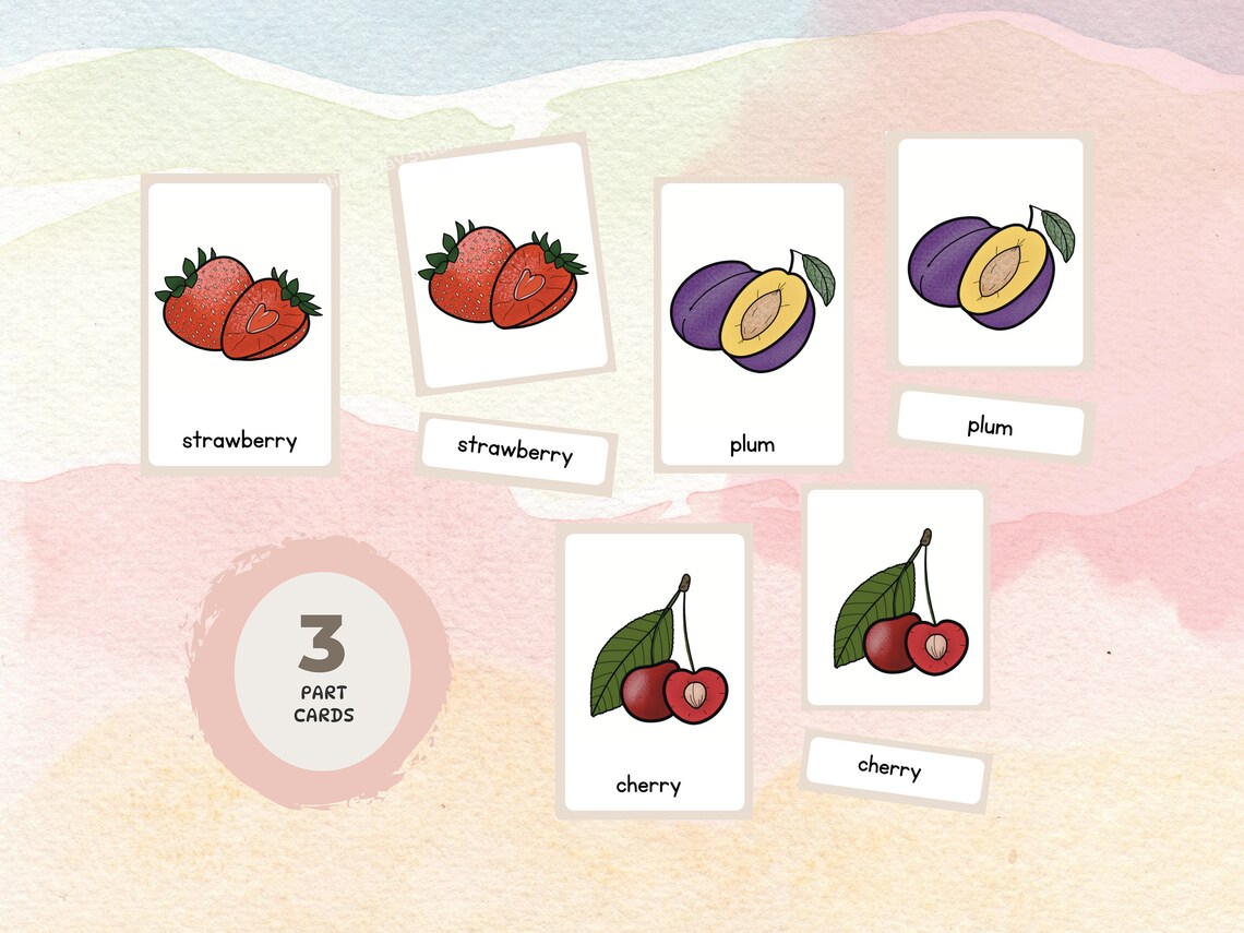 Fruit Montessori Flashcards, PRINTABLE Toddler Vocabulary 3 Part Cards ...