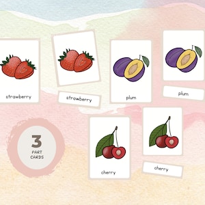 Fruit Montessori Flashcards, PRINTABLE Toddler Vocabulary 3 Part Cards ...