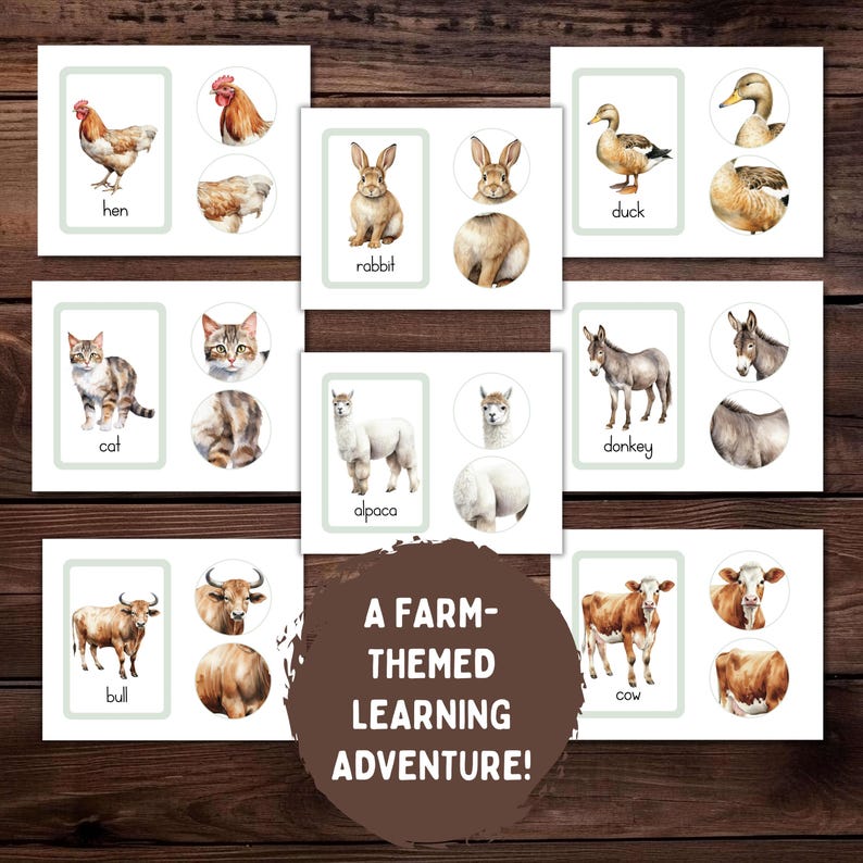 Farm Animals Pattern Matching Cards | Montessori Game for Nature Study ...