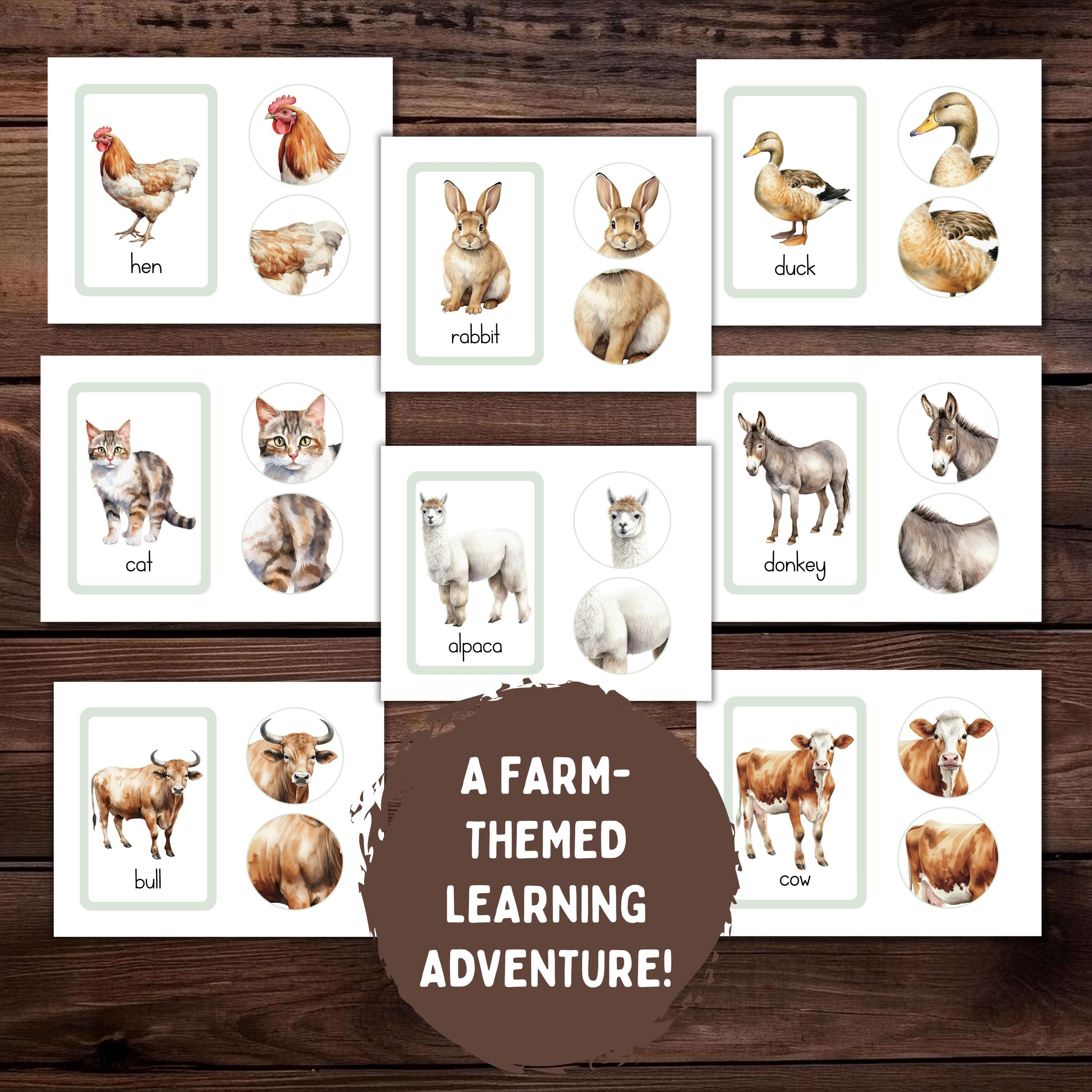 Farm Animals Pattern Matching Cards | Montessori Game for Nature Study ...