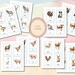 Farm Animal Flashcards 3 Part Montessori Nomenclature Cards, Farm ...
