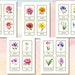 Flowers Flashcards 3 Part Montessori Nomenclature Cards, Flowers Cards ...